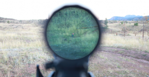 100 Yard Zero At 25 Yard Target [4 Simple Steps]