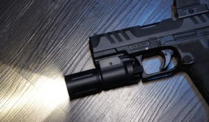 7 Best Walther PDP Lights [Full Size & Compact]